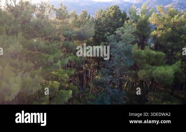 One of the oldest high altitude stone built mountain villages, revealed ...