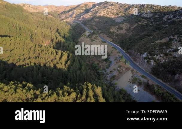 Isolated empty asphalt national road crossing dense tall fir forest and ...