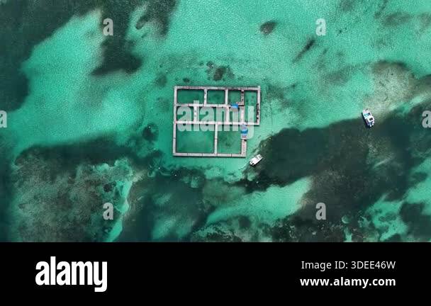 Dolphin Island At Punta Cana In La Altagracia Dominican Republic ...