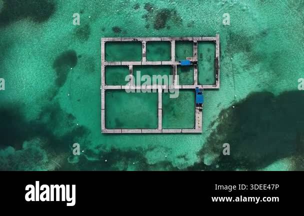 Dolphin Island At Punta Cana In La Altagracia Dominican Republic ...