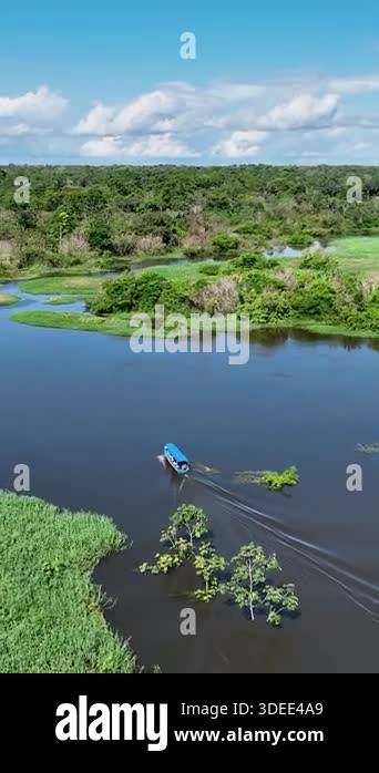 Boat sailing at Amazon river at Amazon forest at Amazonas state Brazil ...
