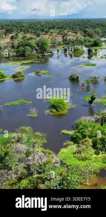 Floating restaurants of Amazon River at Amazon Forest. Manaus Brazil ...