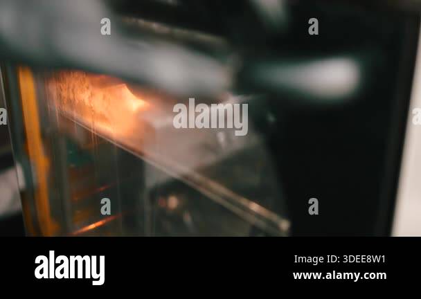 Professional chef opening an industrial oven to check on a glazed dish ...