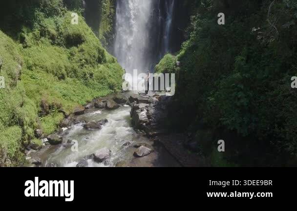 Verdant rainforest framing powerful waterfall cascading through ...