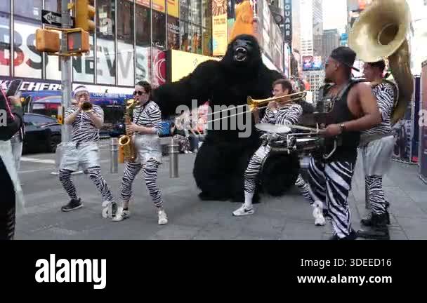 Monkey orchestra Stock Videos & Footage - HD and 4K Video Clips - Alamy
