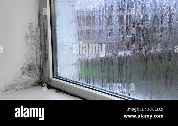 water droplets streaming down wet glass window pane. fungal ...