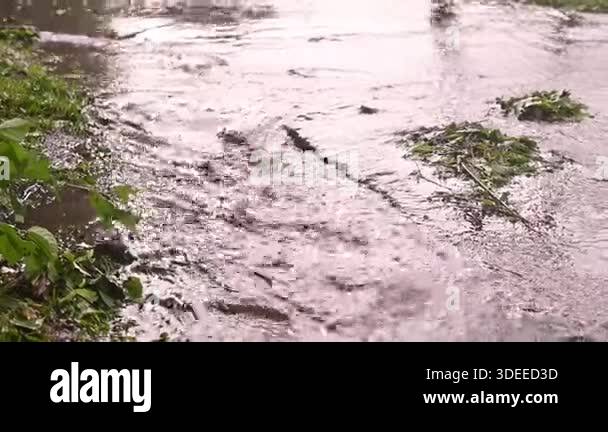 Water flowing through park path, forming small streams as heavy rain ...