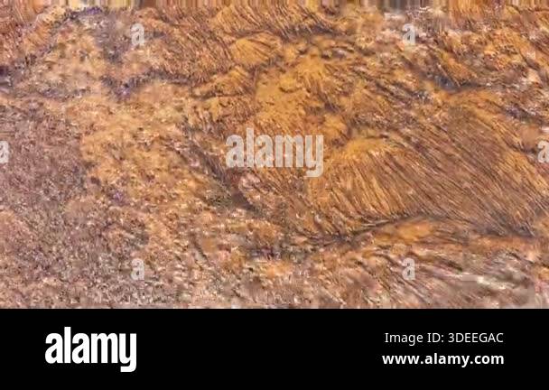 Water flowing over orange algae in a stream from a hot spring in ...