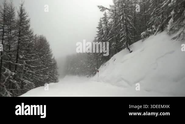 Skiing in snowy forest trail, gloomy, foggy day with low visibility in ...