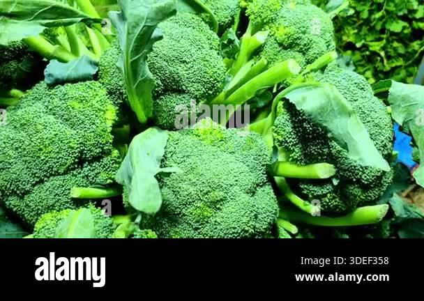 A close-up of fresh broccoli heads piled at a vegetable market, showing ...