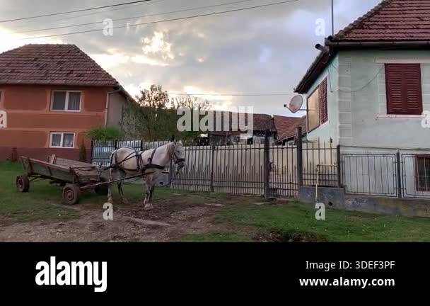 Boian, Bazna, Sibiu, Transylvania, Romania - October 27, 2025 ...