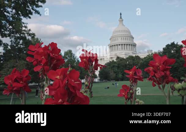 Historic Capitol by the national flag. Capitol dome as symbol of law ...