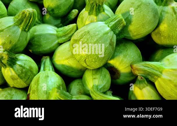 A close-up of fresh tinde (Indian round gourd) vegetables piled ...