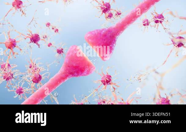 Neural Cells and Synaptic Connections Showing Brain Signal Transmission ...