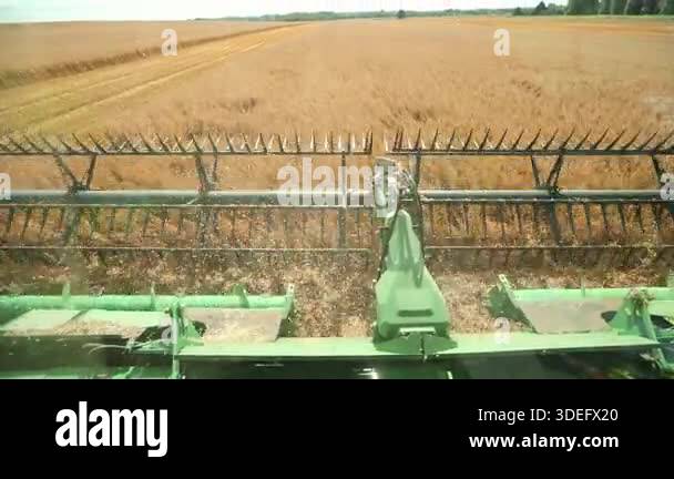 Operator View From Combine Cab Cutting Wheat With Green Header. Reel ...