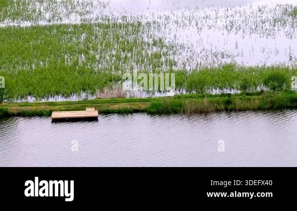 Aerial view shows a river channel with reed beds, a narrow grass strip ...