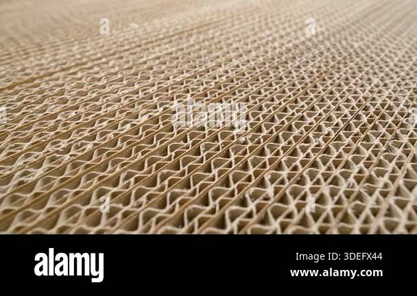 Close-up of a patterned cardboard surface, showcasing intricate ...