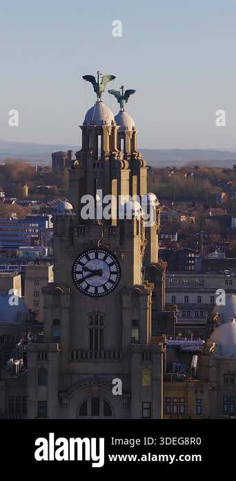 Aerial dawn view in Liverpool shows the Royal Liver Building clock ...