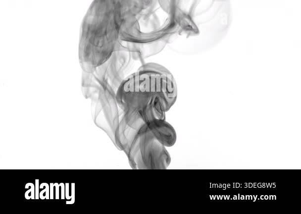 Calm black smoke flowing slowly on white background. Minimal abstract ...