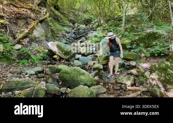 Hiker navigating rocky mountain trail among trees. Challenging trekking ...