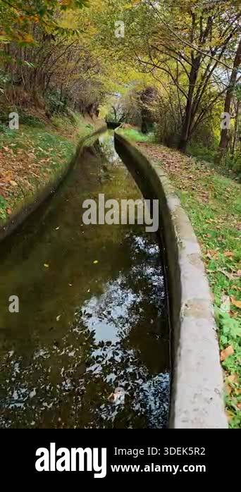 Narrow artificial canal with water and mossy walls among autumn forest ...