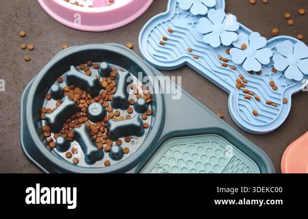 Pet food bowls with slow feeder maze design, bone shapes, flower ...