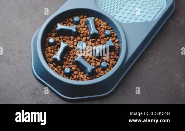 Blue dog food bowl with bone shaped dividers filled with kibble on ...