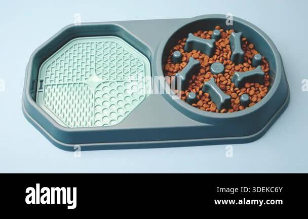 Slow feeder dog bowl with textured lick mat and bone shaped obstacles ...