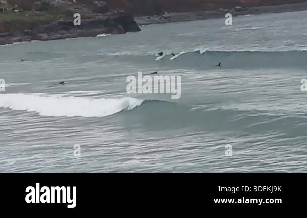 surfer riding green wave on rocky coast, overcast sky, full wetsuit ...