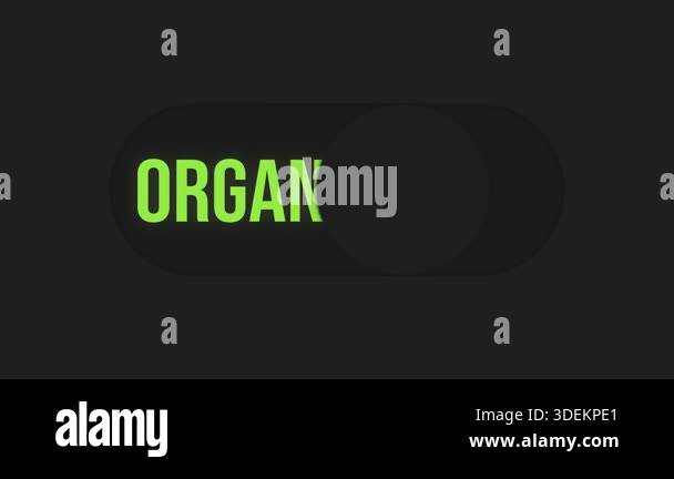 Organic vs paid traffic on the website concept shown with toggle and ...