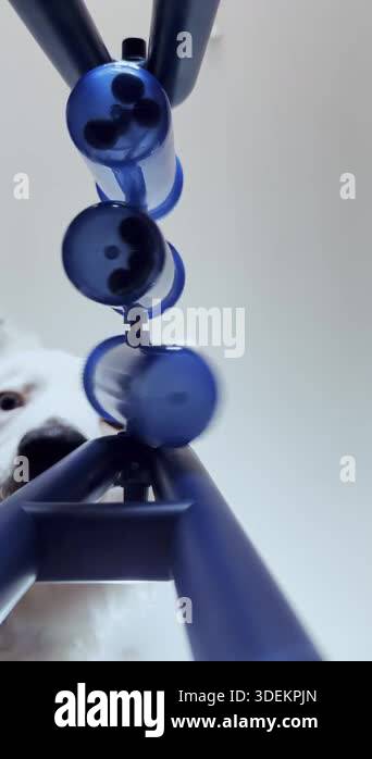 Vertical video recorded from the floor with a mobile phone. A double ...