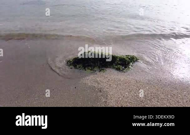 Crystal Clear Ocean Waves Lapping on Sandy Beach.Gentle transparent sea ...