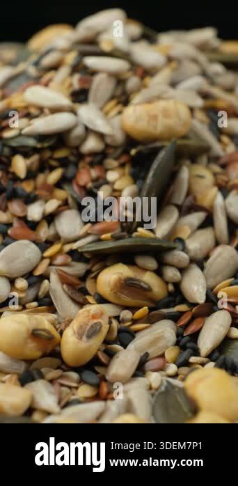 Pile of mixed healthy seeds rotate on black background Stock Video ...