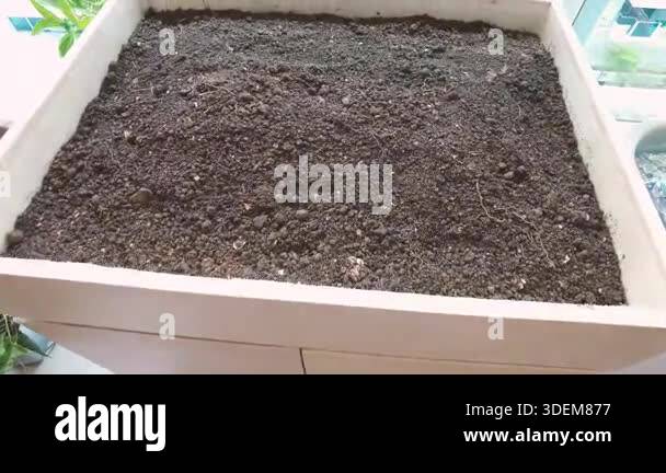 Moving forward view of compost soil on a planter box Stock Video ...