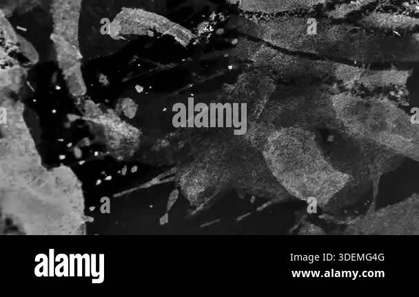 Abstract grunge motion with raw textured look. High quality 4k footage ...