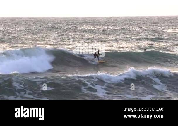 Surfer in warm wetsuit riding wave on board at sunset. Winter sports in ...