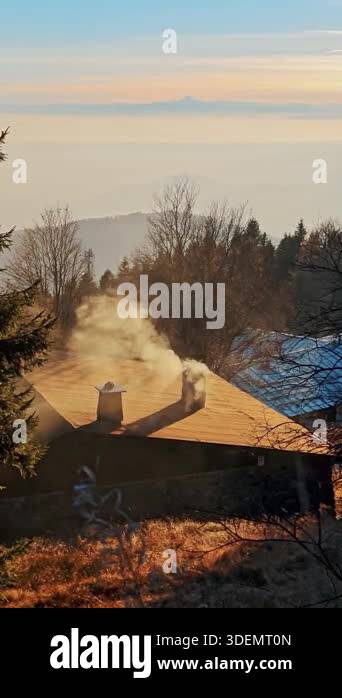 Smoke rising from chimney of cozy alpine cottage among coniferous trees ...
