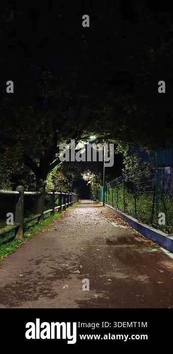 Gravel path under streetlights along wooden railing by river in ...