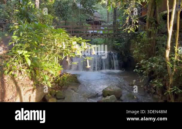 waterfall cascading through lush tropical jungle, surrounded by mist ...