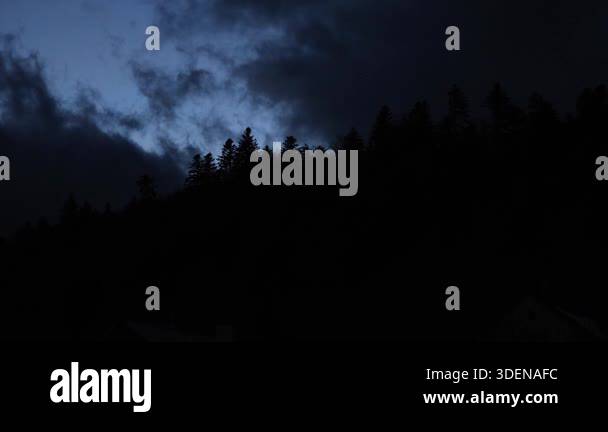 Fog over the trees in the night, moody fantasy scene Stock Video ...