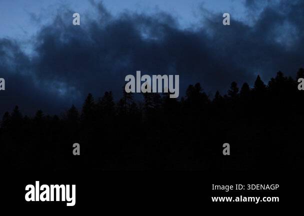 Fog over the trees in the night, moody fantasy scene Stock Video ...