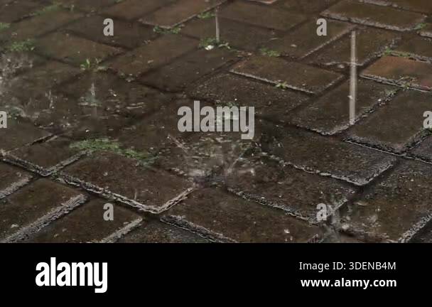 High Angle Close Up of Rainwater Accumulating on Paving Blocks Forming ...