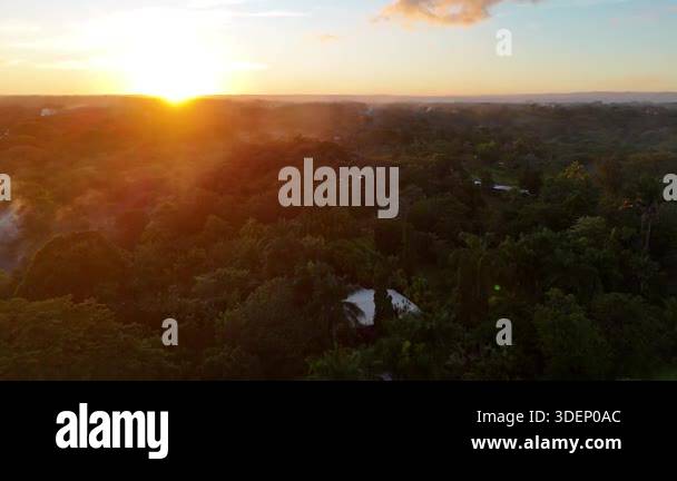 Bright sunlight rises over the forest, illuminating trees and small ...