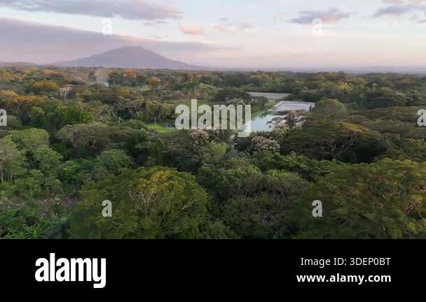 Large forest and a distant mountain during sunset. Colors change as day ...