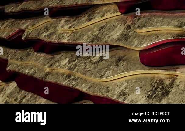 A mesmerizing abstract wave pattern in vibrant colors against a black ...