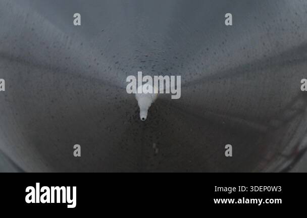 Extreme close up of military jet nose probe and fuselage surface with ...