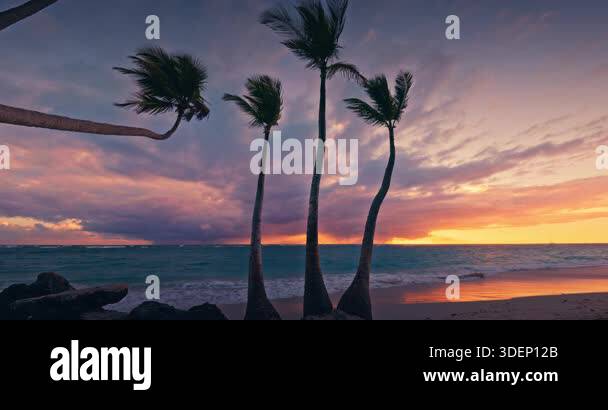 Sunset landscape of Tropical Beach with Palm Trees Over Calm Caribbean ...