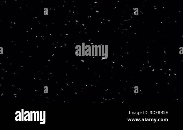 Gentle Snowfall On Black Alpha Transparent Background Stock Video ...