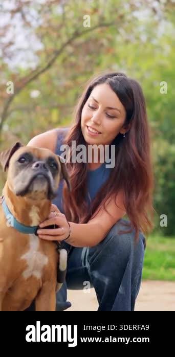 Happy woman smiling and petting her cute boxer dog companion in a park ...