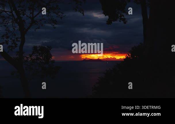 Woman Walks Toward the Edge of a Cliff Surrounded by Trees as She ...